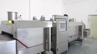 China liquid nitrogen tunnel blast freezer for meat iqf machine for fruits vegetables iqf ginger for sale