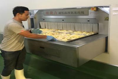 China liquid nitrogen tunnel blast freezer for meat iqf machine for fruits vegetables iqf ginger for sale