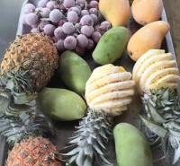 China liquid nitrogen tunnel blast freezer for meat iqf machine for fruits vegetables iqf ginger for sale