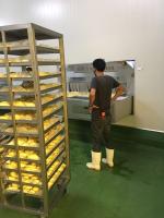 China 2800kg/H 3500kg/H  Blast Tunnel Freezer Individual Quick Freezing Machine Ln2 Iqf for sale
