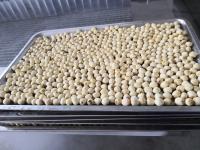 China 800kg/H Blast Tunnel Freezer for sale
