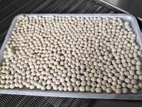 China 800kg/H Blast Tunnel Freezer for sale