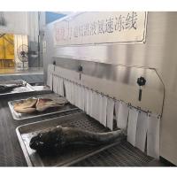 China 800 Per Hour Blast Chiller Mesh Belt Tunnel Freezer Minus 150C For Meatball 1000KG/H for sale