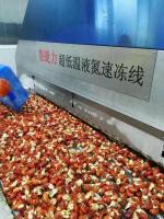 China Meatfish Seafood Blast Chiller Shock Mesh Belt Tunnel Freezer Iqf 2200kg/H 2500kg/H for sale