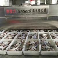 China Meatfish Seafood Blast Chiller Shock Mesh Belt Tunnel Freezer Iqf 2200kg/H 2500kg/H for sale