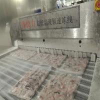 China Liquid Nitrogen Chest Mesh Belt Tunnel Freezer 400kg/H 600kg/H Meatfish Fish Fillets for sale