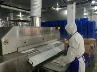 China Liquid Nitrogen Chest Mesh Belt Tunnel Freezer 400kg/H 600kg/H Meatfish Fish Fillets for sale