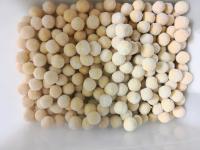 China Mesh Belt 1000kg Per Hour 1200kg/H Quick Freeze Freezer Stainless Steel Deep Freezer Chest Odm for sale