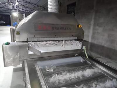 China Fast Freeze Chest Quick Freeze Freezer Seafood Meatfish 2800 Kg/H 3500 Kg/H for sale