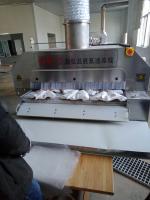 China Ln2 Nitrogen IQF Mesh Belt Tunnel Freezer 600KG/H 1200KG/H For Fish Head for sale