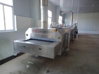 China Ln2 Nitrogen IQF Mesh Belt Tunnel Freezer 600KG/H 1200KG/H For Fish Head for sale