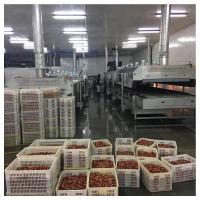 China 400KGS/H Mesh Belt Tunnel Freezer for sale