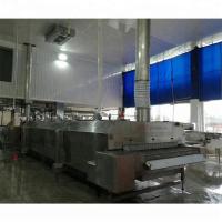 China 10 Kw Fast Freezing Iqf Blast  Freezer  1800 Kg Per Hour 2100kg/Hour for sale