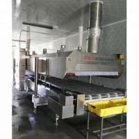 China 10 Kw Fast Freezing Iqf Blast  Freezer  1800 Kg Per Hour 2100kg/Hour for sale