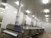 China DJL Liquid Nitrogen Machine Tunnel Freezer Products Freezing For Seafood Shrimp Meat for sale