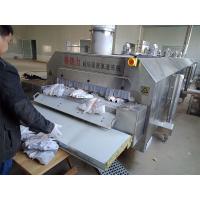 China DJL Liquid Nitrogen Machine Tunnel Freezer Products Freezing For Seafood Shrimp Meat for sale