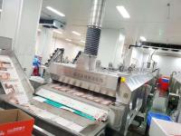 China Liquid Nitrogen Tunnel Mesh Belt Tunnel Freezer 15KW 2100KG/H 2500KG/H for sale