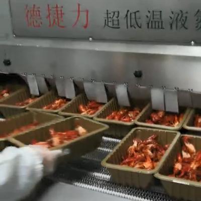 China 22kw Mesh Belt Tunnel Freezer 2800kg/H Iqf Blast Freezert Freezer OEM for sale