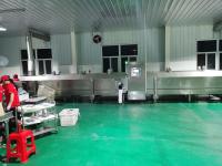 China 22kw Mesh Belt Tunnel Freezer 2800kg/H Iqf Blast Freezert Freezer OEM for sale