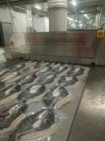 China 18kw Nitrogen Tunnel Ultra Deep Freezer 2500kg/Hour 2200kg/H for sale