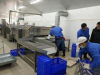 China 6 Kw Mesh Belt Tunnel Freezer 500kg/Hour Individual Quick Freezing  1500kg/H for sale