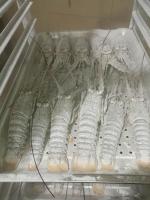 China 50kg Ultra Cold Flash Freezer Sus304 Small Blast Chiller For Home 300kg/H for sale