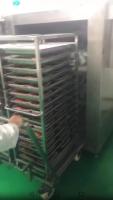 China Cryogenic Drumstick Small Liquid Nitrogen Blast Freezer 50kgs/Hour ISO9001 for sale
