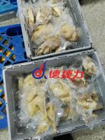 China 800KG/H Mesh Belt Tunnel Freezer for sale