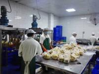China 800KG/H Mesh Belt Tunnel Freezer for sale