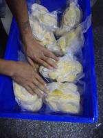 China 800KG/H Mesh Belt Tunnel Freezer for sale