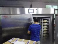 China 5kw Small Liquid Nitrogen Blast Freezer 600kgs/Hour Container For Broiler Chicken ODM for sale