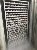 China 5kw Small Liquid Nitrogen Blast Freezer 600kgs/Hour Container For Broiler Chicken ODM for sale
