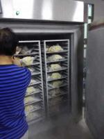 China 5kw Small Liquid Nitrogen Blast Freezer 600kgs/Hour Container For Broiler Chicken ODM for sale