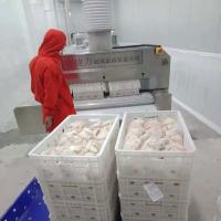 China N2 Conveyor Ultra Deep Mesh Belt Tunnel Freezer Ss304 1800kg/H 2100kg/H for sale