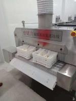 China N2 Conveyor Ultra Deep Mesh Belt Tunnel Freezer Ss304 1800kg/H 2100kg/H for sale