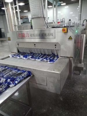 China DJL High Quality Seafood Iqf Machine / Industrial Freezer Cryogenic Freezer for sale
