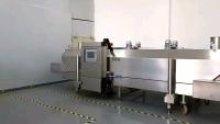 China Cooling Tunnel Machine Seafood Air Blast Tunnel Freezer 400KG Per Hour 600KG/H for sale