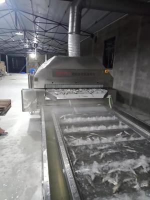China Iqf Nitrogen Freeze Meat Tunnel Ultra Freezer Air Blast Nitrogen Quick Freezer for sale