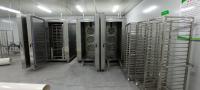 China 600kg/Hour Flash Freeze Blast Freezers And Chillers Minus 120C SUS304 for sale