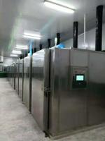 China 1000kg/Hour 5kw Liquid Nitrogen Blast Freezer Blast Chiller Shock Freezer 15 Cuft for sale