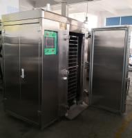 China 400kg/Hour Nitrogen Blast Stand Up Deep Freezer 3 Kw IQF for sale