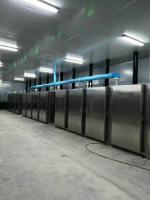 China 1500kg/Hour Small Instant Liquid Nitrogen Blast Freezer For Home 12 Kw OEM for sale