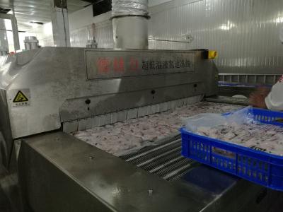 China Industrial Mesh Belt Tunnel Freezer 1000kgs/Hour 800kgs/Hour Everlasting Blast Chiller Iqf for sale