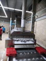 China Industrial Mesh Belt Tunnel Freezer 1000kgs/Hour 800kgs/Hour Everlasting Blast Chiller Iqf for sale