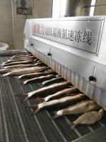 China Industrial Mesh Belt Tunnel Freezer 1000kgs/Hour 800kgs/Hour Everlasting Blast Chiller Iqf for sale