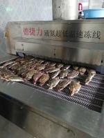 China 30 Kw Fast Freeze Chest Mesh Belt Tunnel Freezer 1500KG/H 2500KG/H for sale