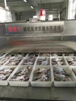 China 30 Kw Fast Freeze Chest Mesh Belt Tunnel Freezer 1500KG/H 2500KG/H for sale