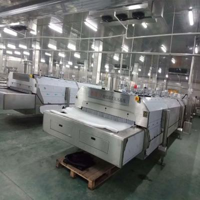 China Iqf Blast Tunnel SUS 304 DC Chest Freezer Ultra Low Chest Freezer Meatfish 22kw for sale