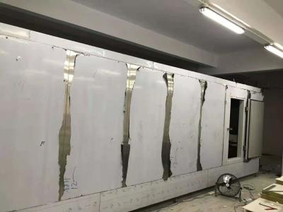 China 250kg/H Blast Tunnel Freezer for sale