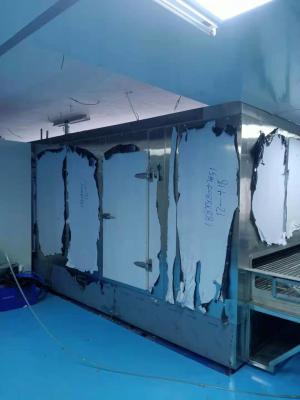 China 25 Kw Industrial Flash Blast Tunnel Freezer 1800kgs/Hour For Durian Pulp Shock Freezer  Odm for sale